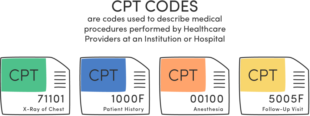 What Are CPT Codes Avelead