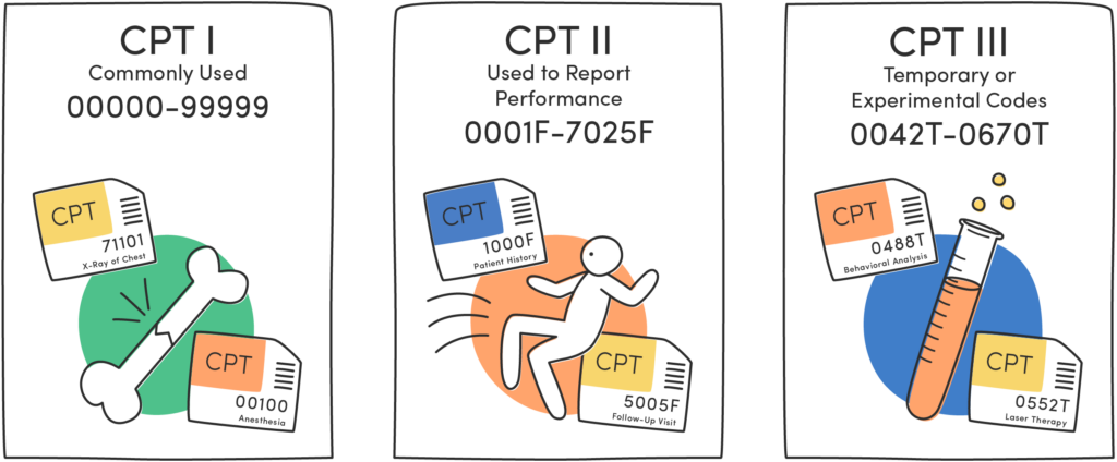 What Are CPT Codes Avelead