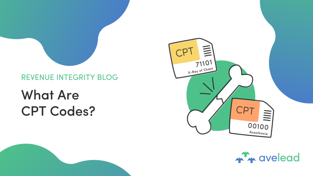 What Are CPT Codes? | Avelead
